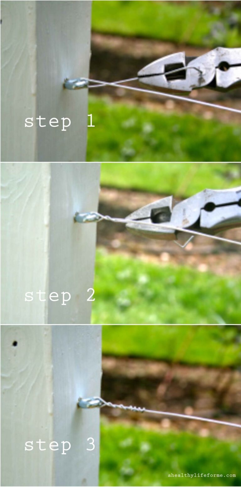 Planting Blackberry Bushes 'Part 2' » A Healthy Life For Me